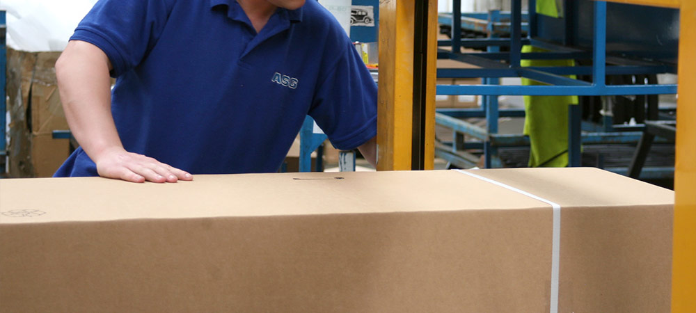 Assembly, Packaging and Logistics | ASG Group
